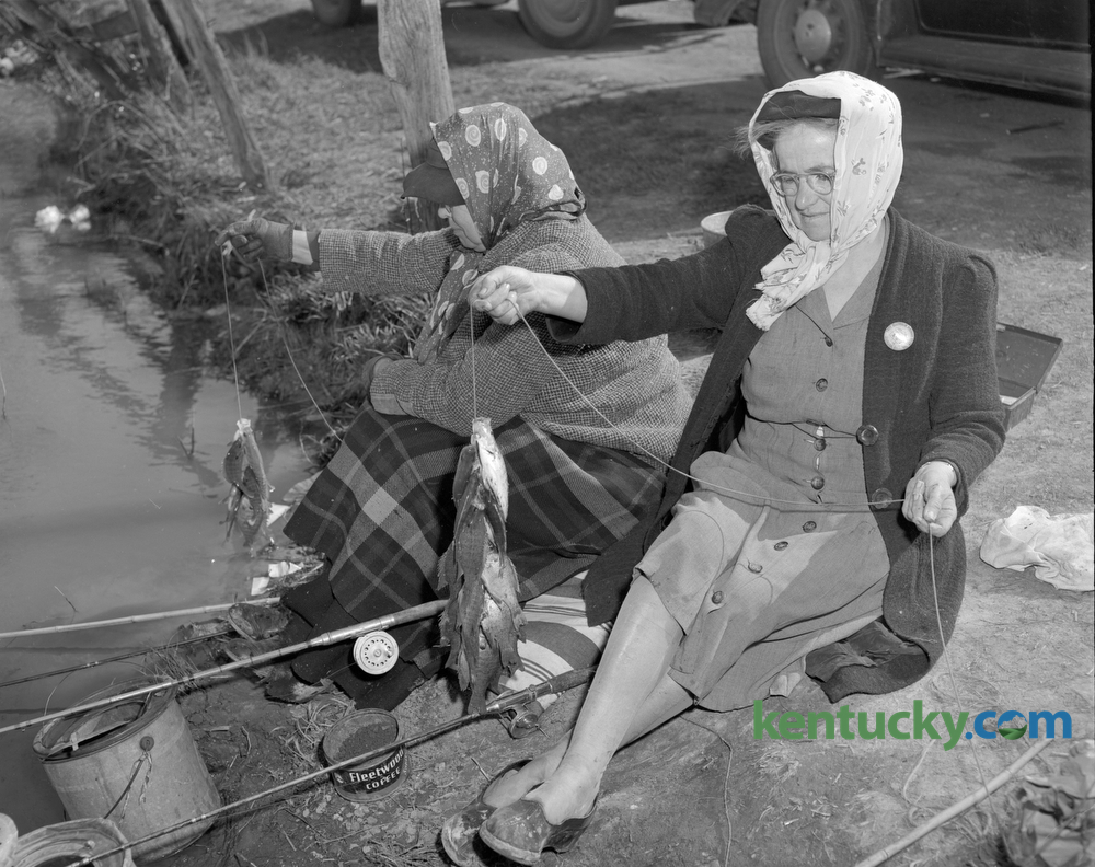 Kentucky Photo Archive | Photos from the Lexington Herald-Leader ...